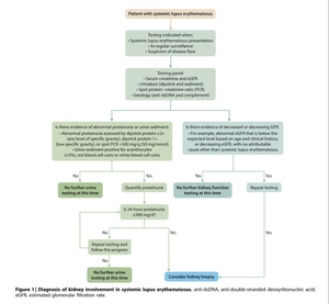 Hungry Like The Wolf for New Lupus Nephritis Guidance — NephJC