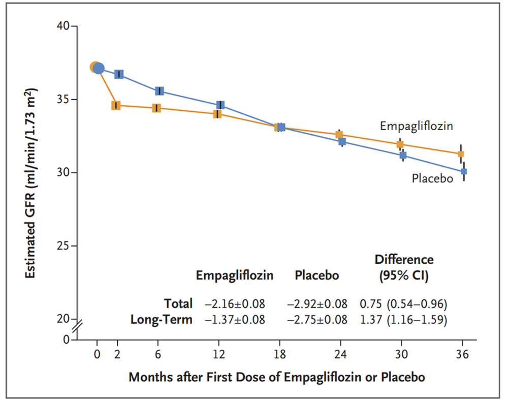 EMPA-Kidney: ‘Empa’sizing the role of Flozins in Chronic Kidney Disease ...