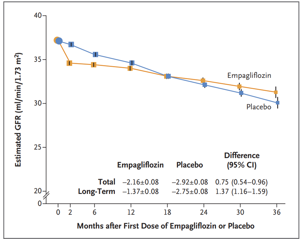 EMPA-Kidney: ‘Empa’sizing the role of Flozins in Chronic Kidney Disease ...