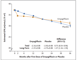 EMPA-Kidney: ‘Empa’sizing the role of Flozins in Chronic Kidney Disease ...