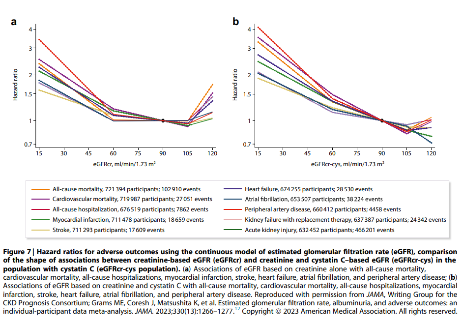 The KDIGO CKD 2024 Guidelines Part 1: Evaluation and Risk ...