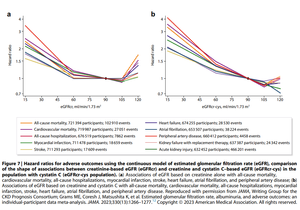 The KDIGO CKD 2024 Guidelines Part 1: Evaluation and Risk ...