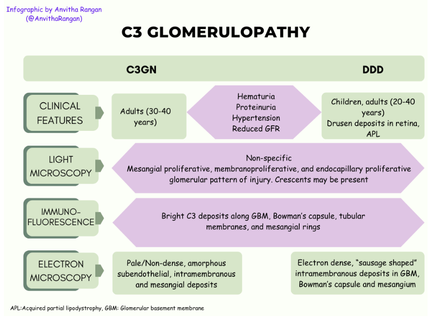 Shedding Light on the Dense Matter of C3 Glomerulopathy — NephJC