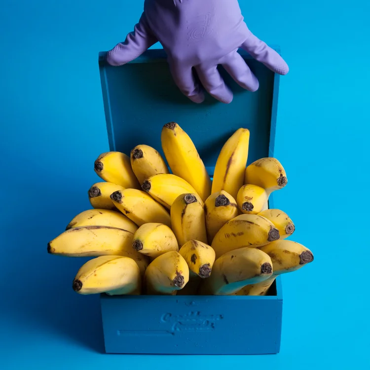 MAX SHUSTER Photography