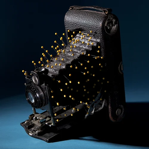 MAX SHUSTER Photography