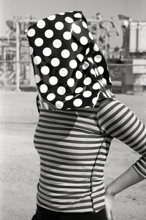 MAX SHUSTER Photography