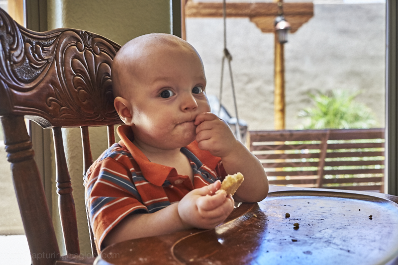 The First Cookie — Capturing His Glory
