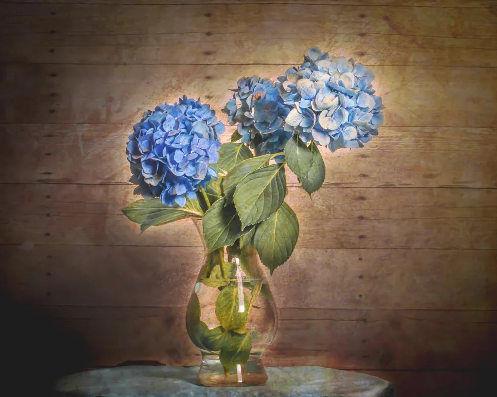 2017 ALL Botanical: Winners — Contemporary Art Gallery Online Exhibitions