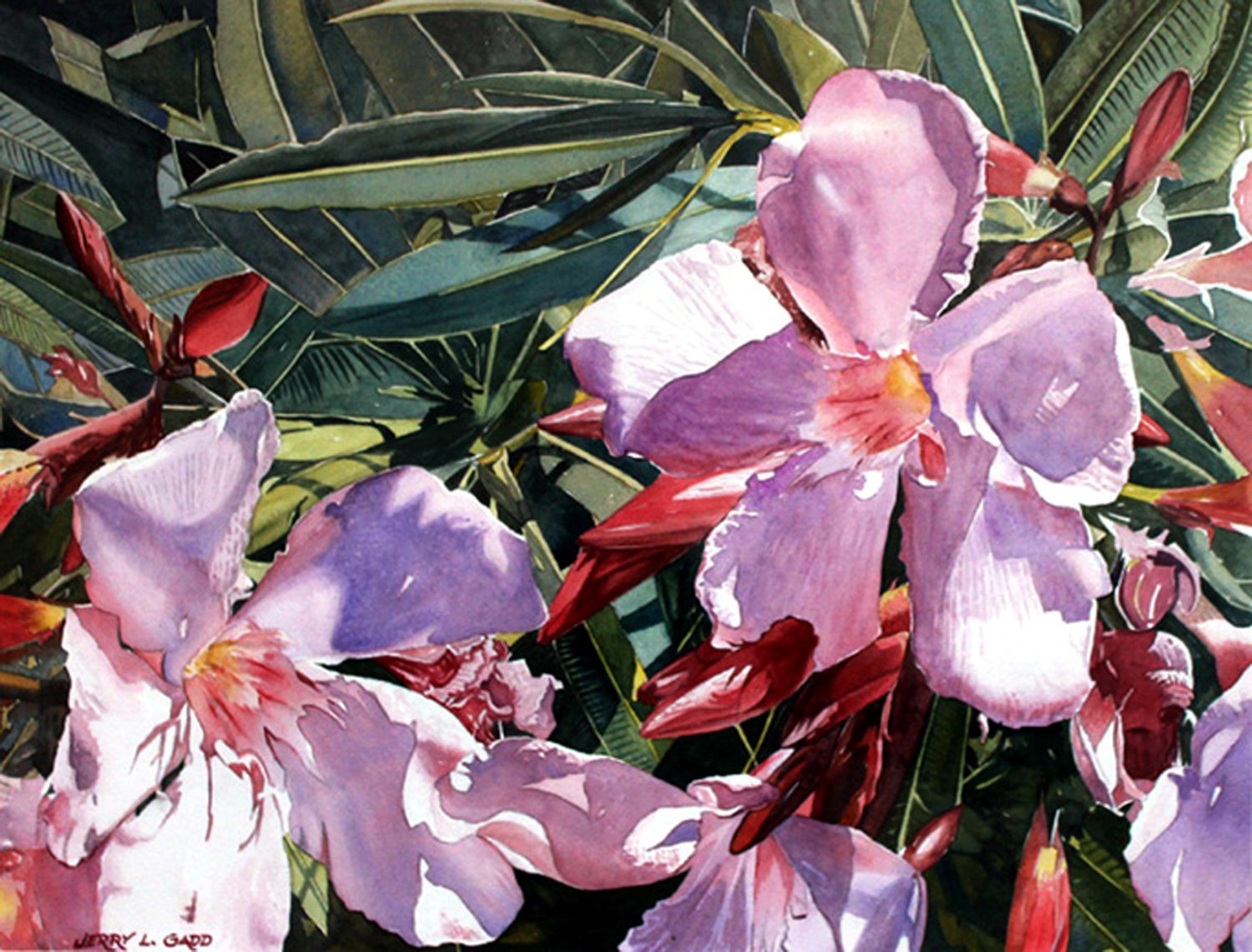 2018 ALL Botanical Winners — Contemporary Art Gallery Online Exhibitions