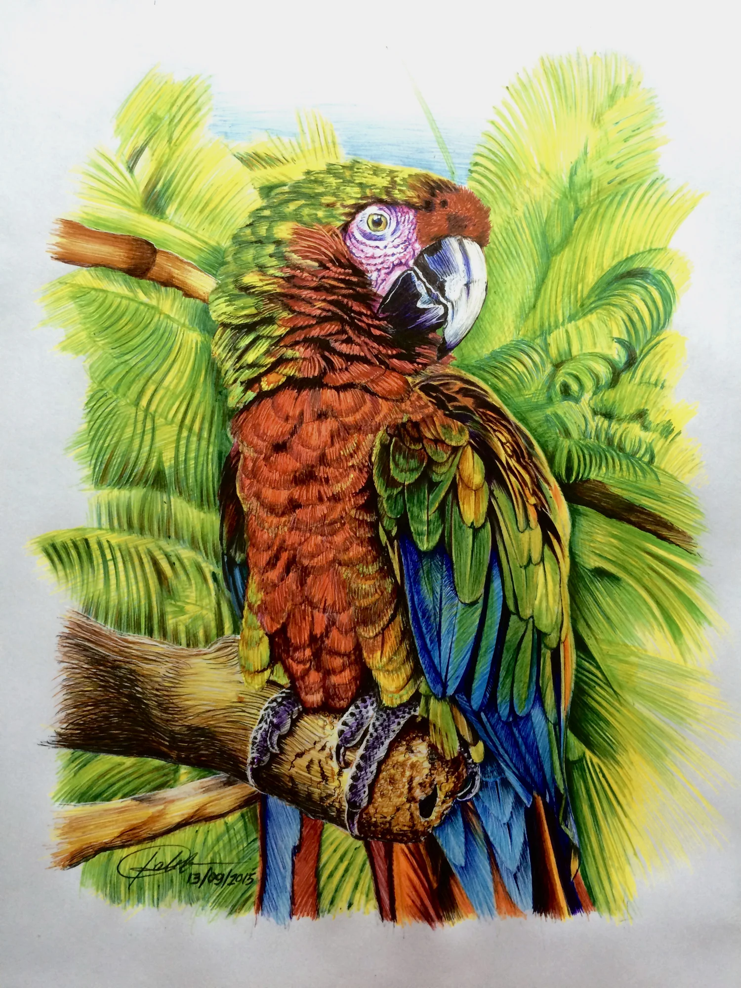 2019 "ALL Animal Winners" — Contemporary Art Gallery Online Exhibitions