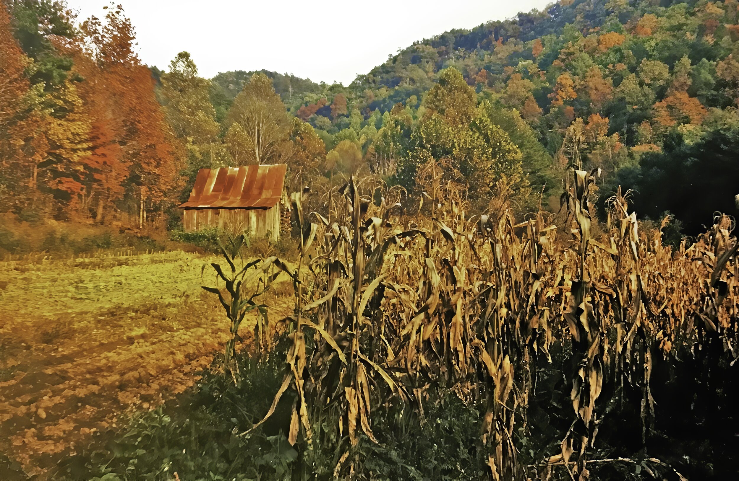 2021 "ALL Landscape Winners" — Contemporary Art Gallery Online Exhibitions