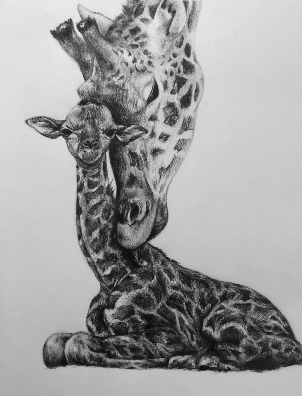 2022 ALL Animal Winners — Contemporary Art Gallery Online Exhibitions