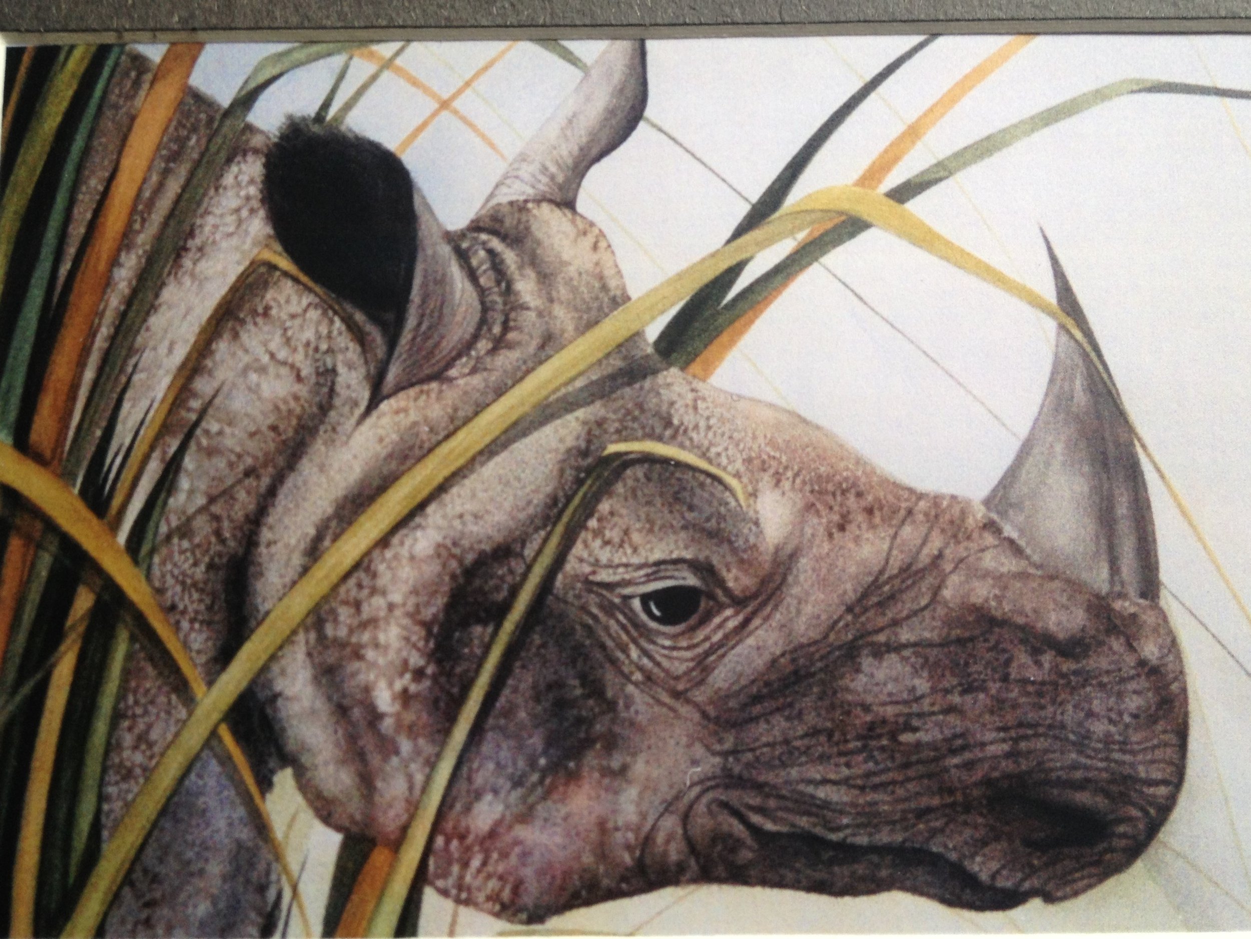 2023 ALL Animal Winners — Contemporary Art Gallery Online Exhibitions