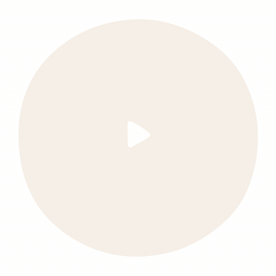 Animation Process | Animation Studio