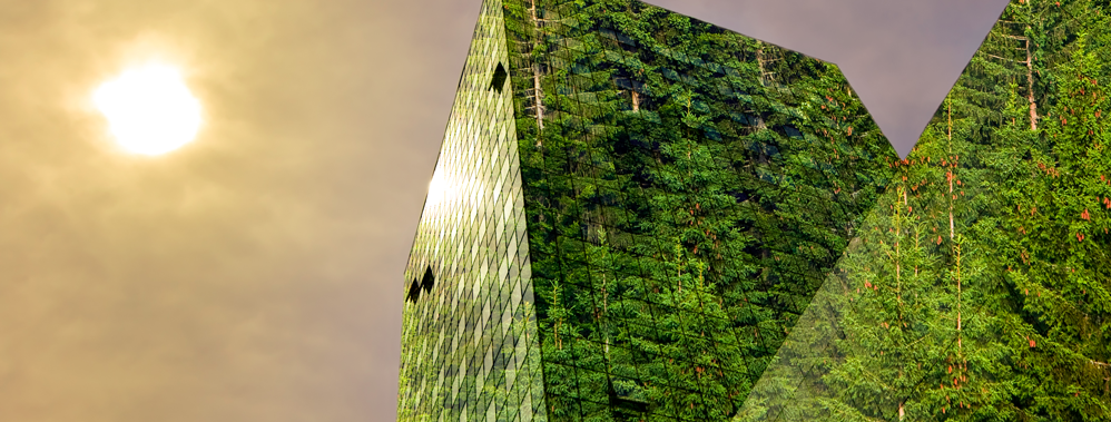 Misplon Green Building Consulting