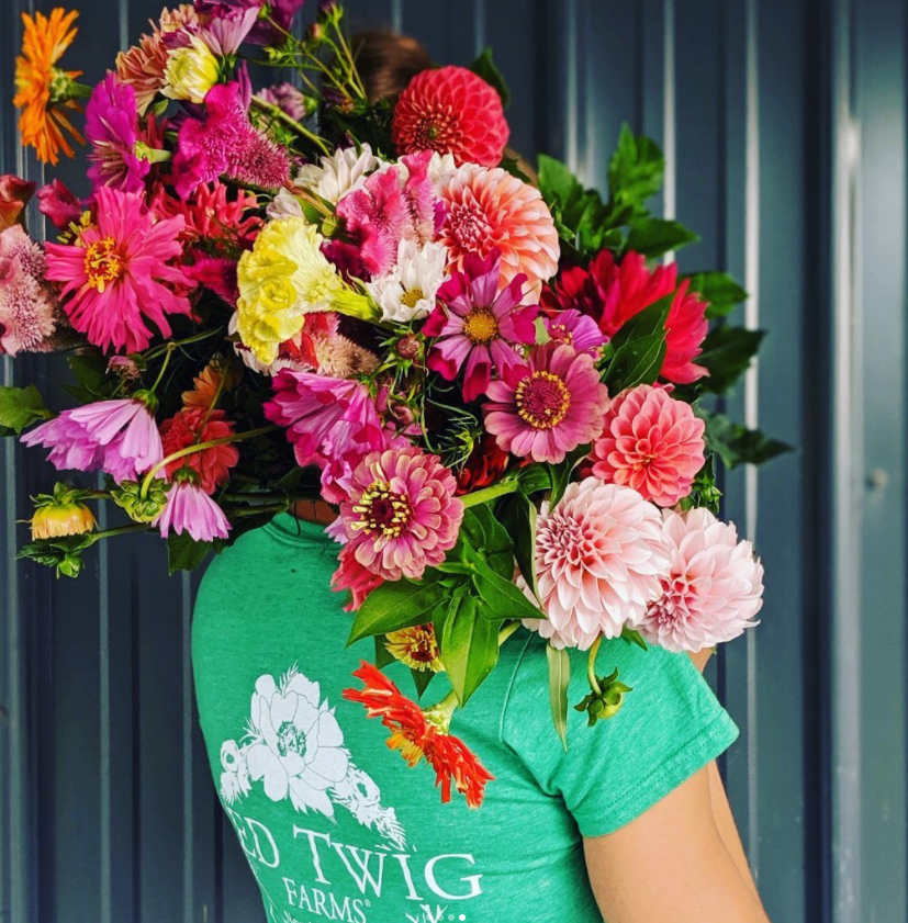 Shop Fresh Flowers — Red Twig Farms