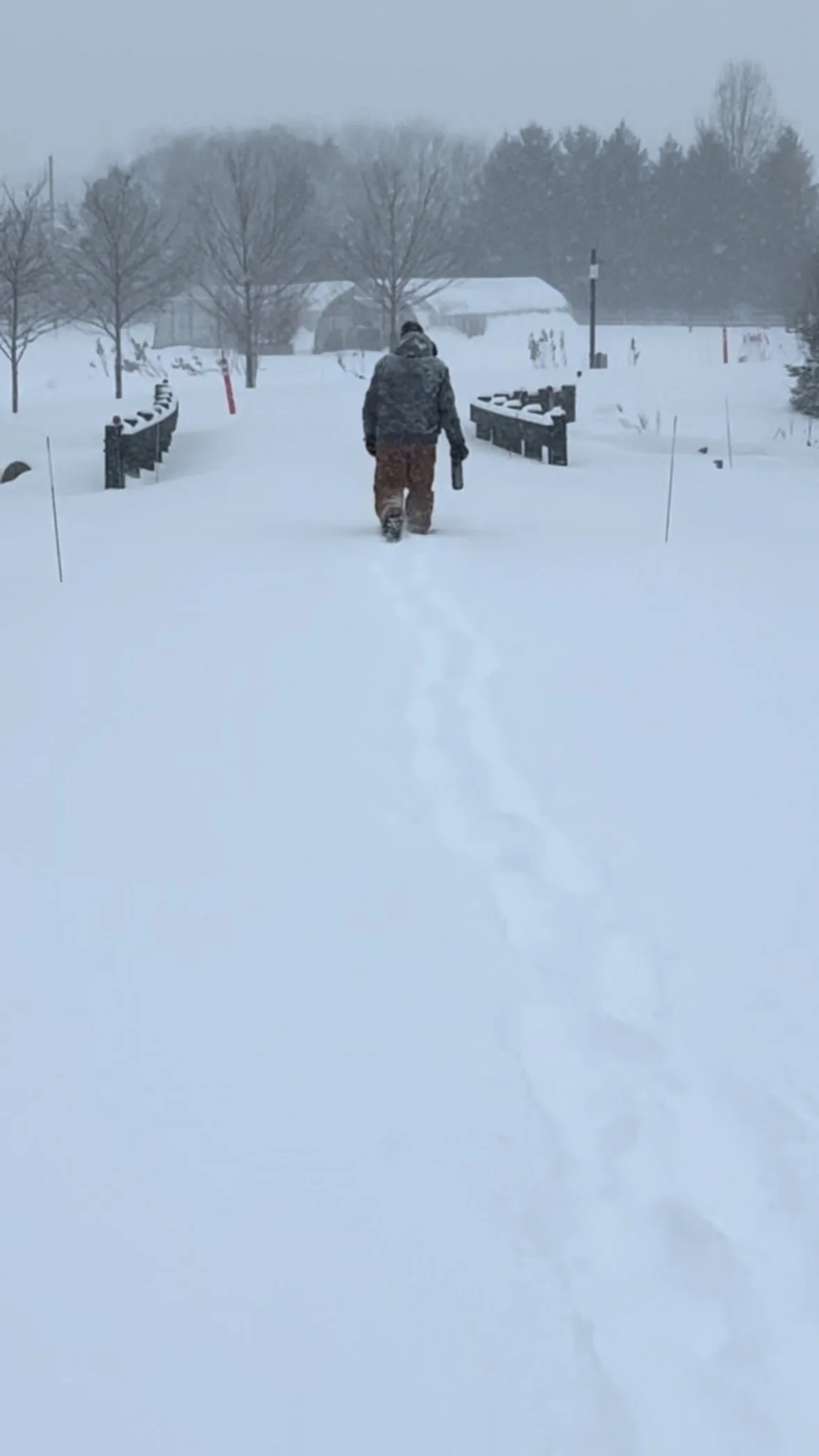 Bloom Club Month 1 Pick Up (February 6, 2026) — Red Twig Farms