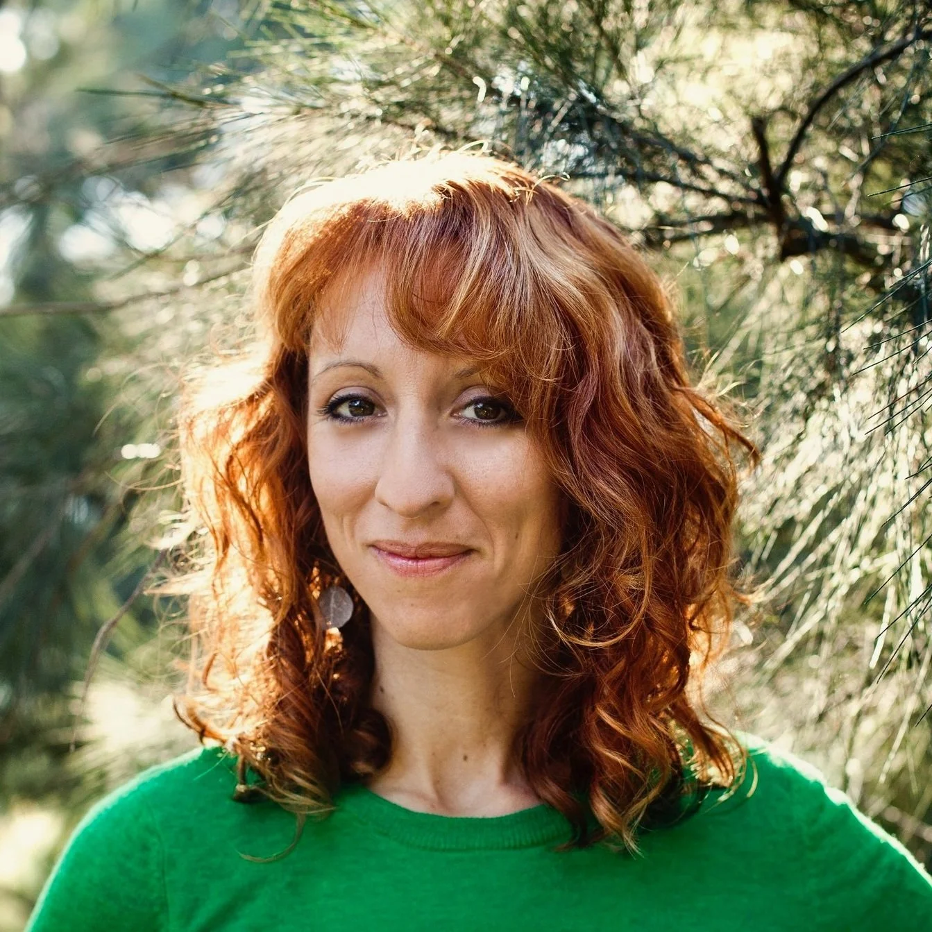 Wild Mind - Psychotherapy and Counselling — Psychedelic Foundations ...
