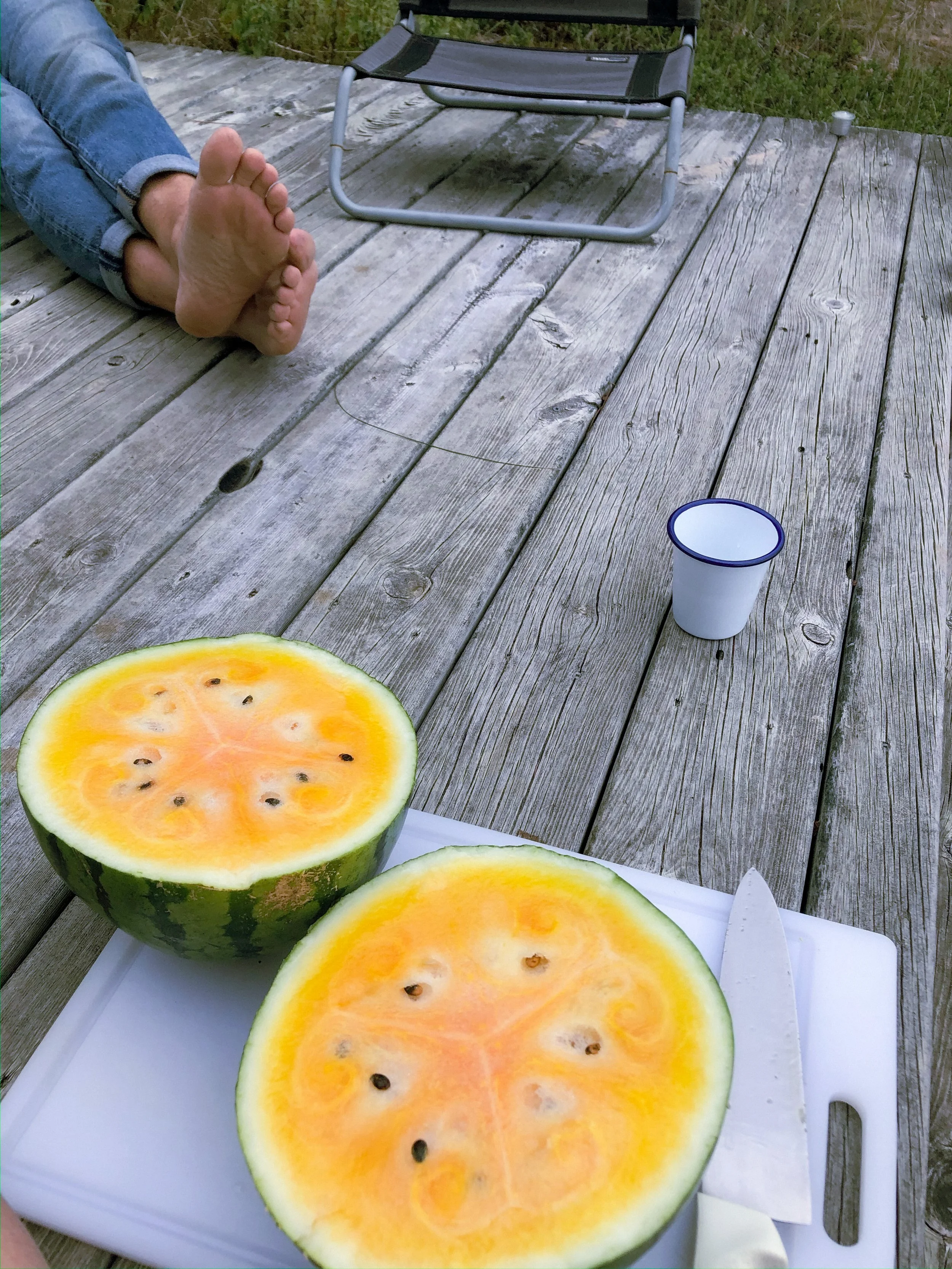 middle brow is... — middle brow