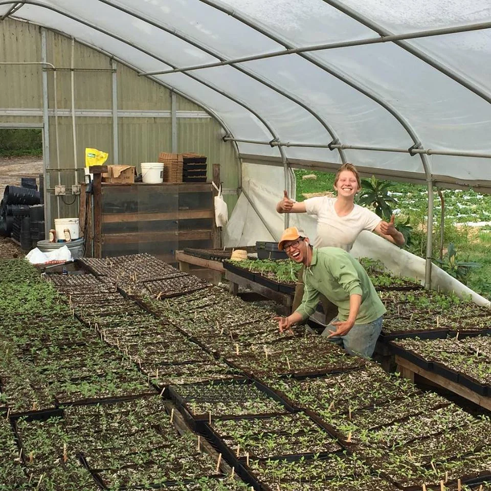 Events — Love is Love Cooperative Farm