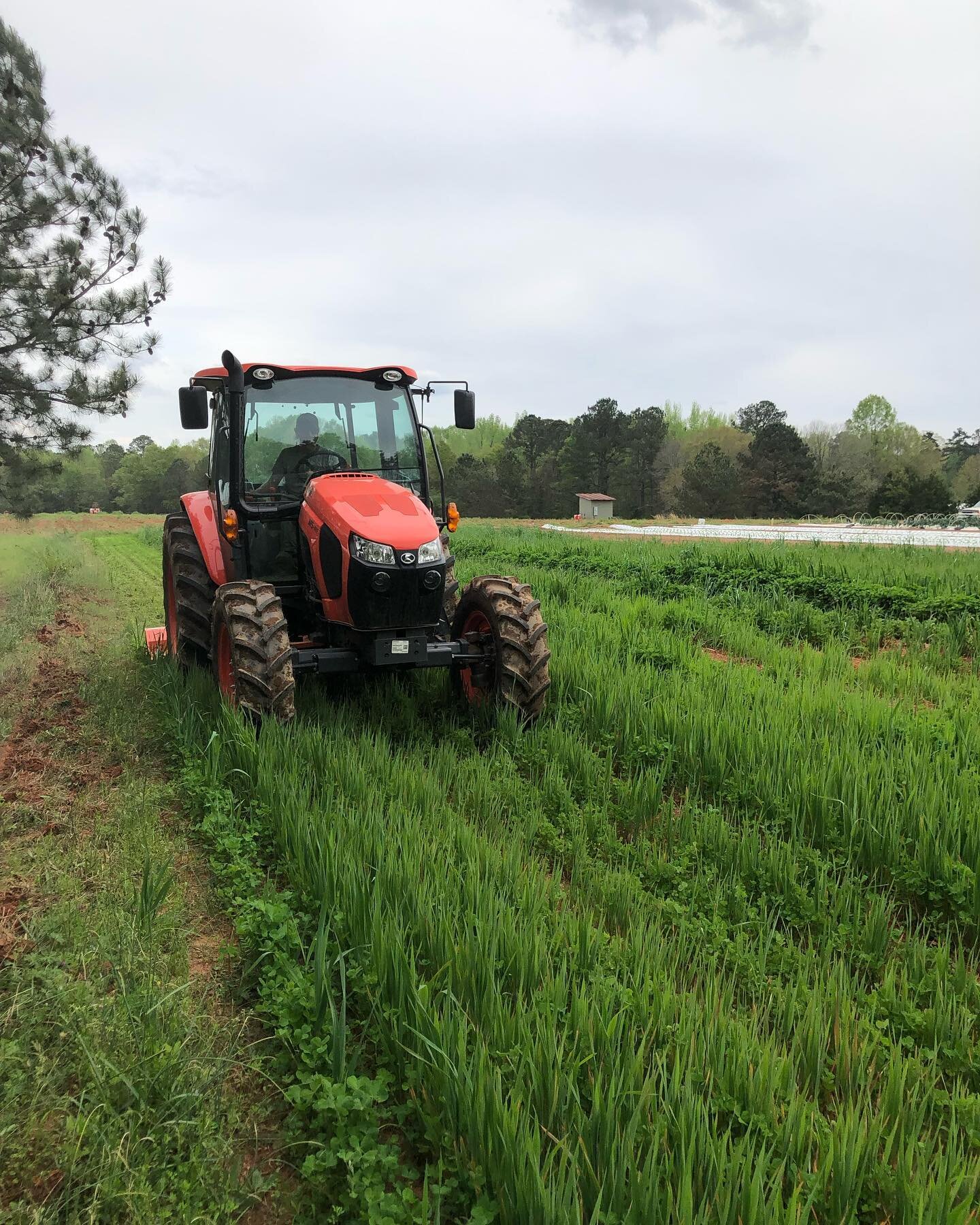 Love is Love Cooperative Farm