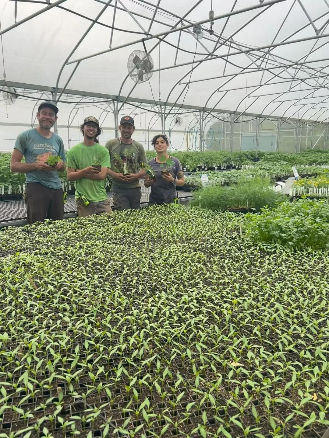 Love is Love Cooperative Farm