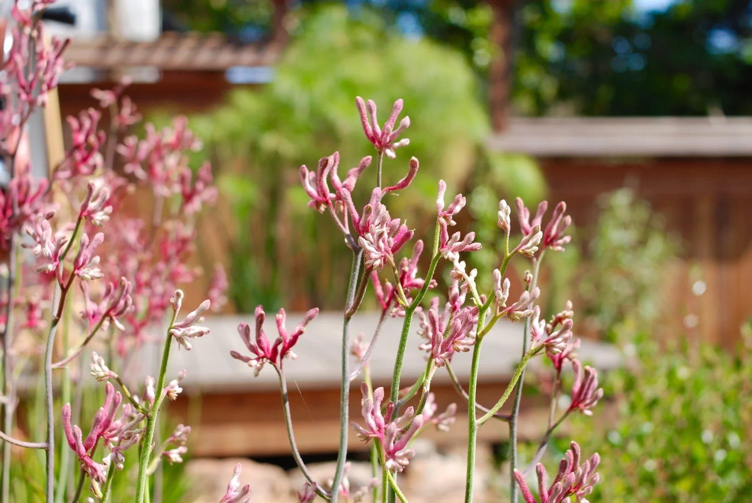 Node Landscape Design