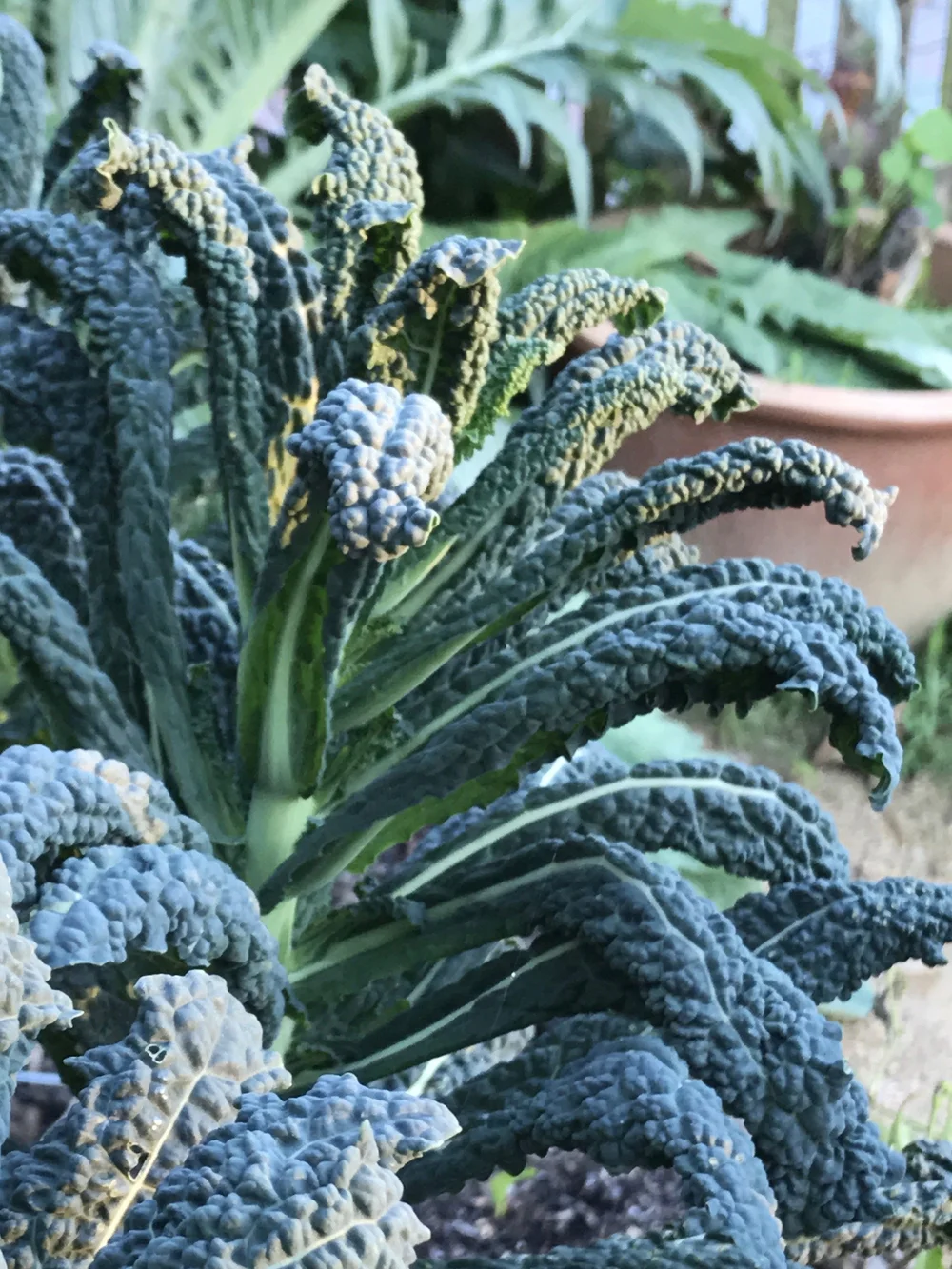 Node Landscape Design