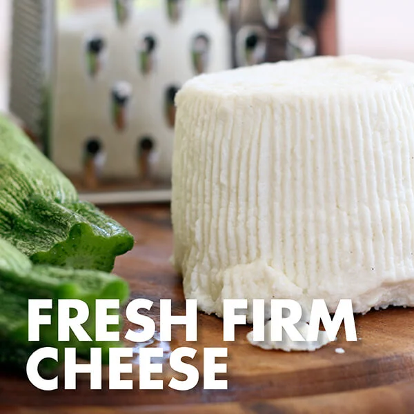 Cheese — Golden Grains | Food supplier and Distributor | UAE