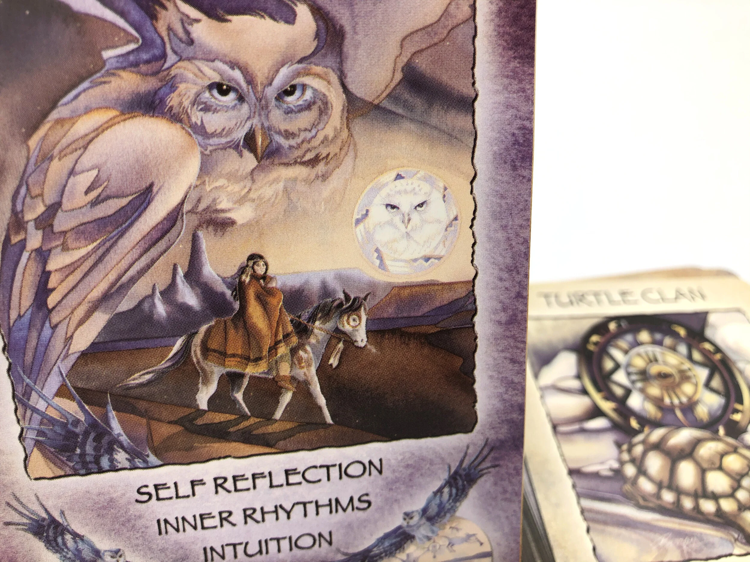Spirit of the Wheel vs Soul Cards 2 – Art by Mitra Cline
