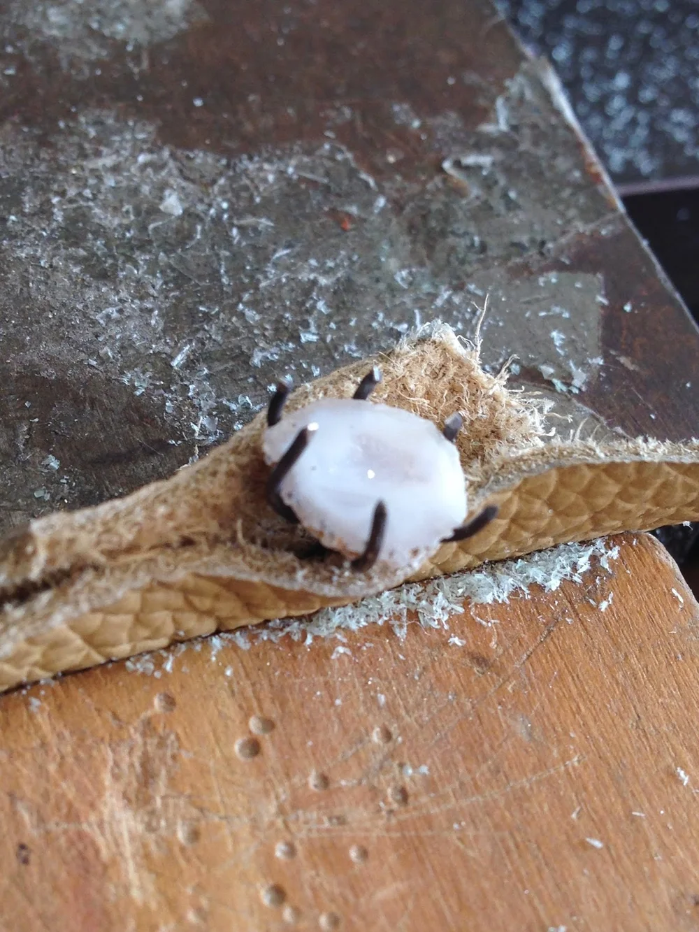 Prong Setting Tutorial — New York Handmade Collective