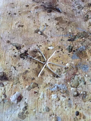 Prong Setting Tutorial — New York Handmade Collective
