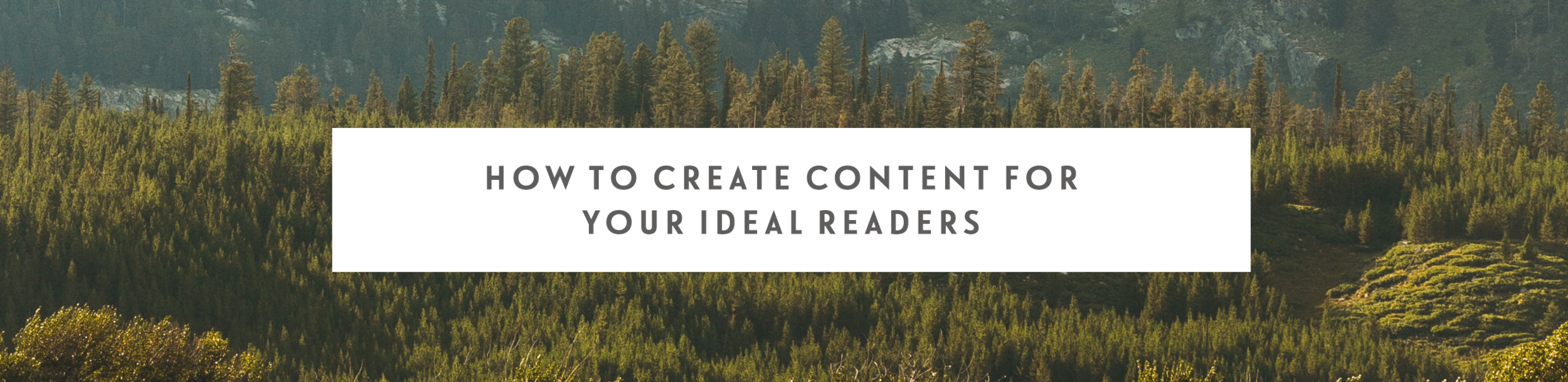 How To Create Content For Your Ideal Readers — Jen Carrington