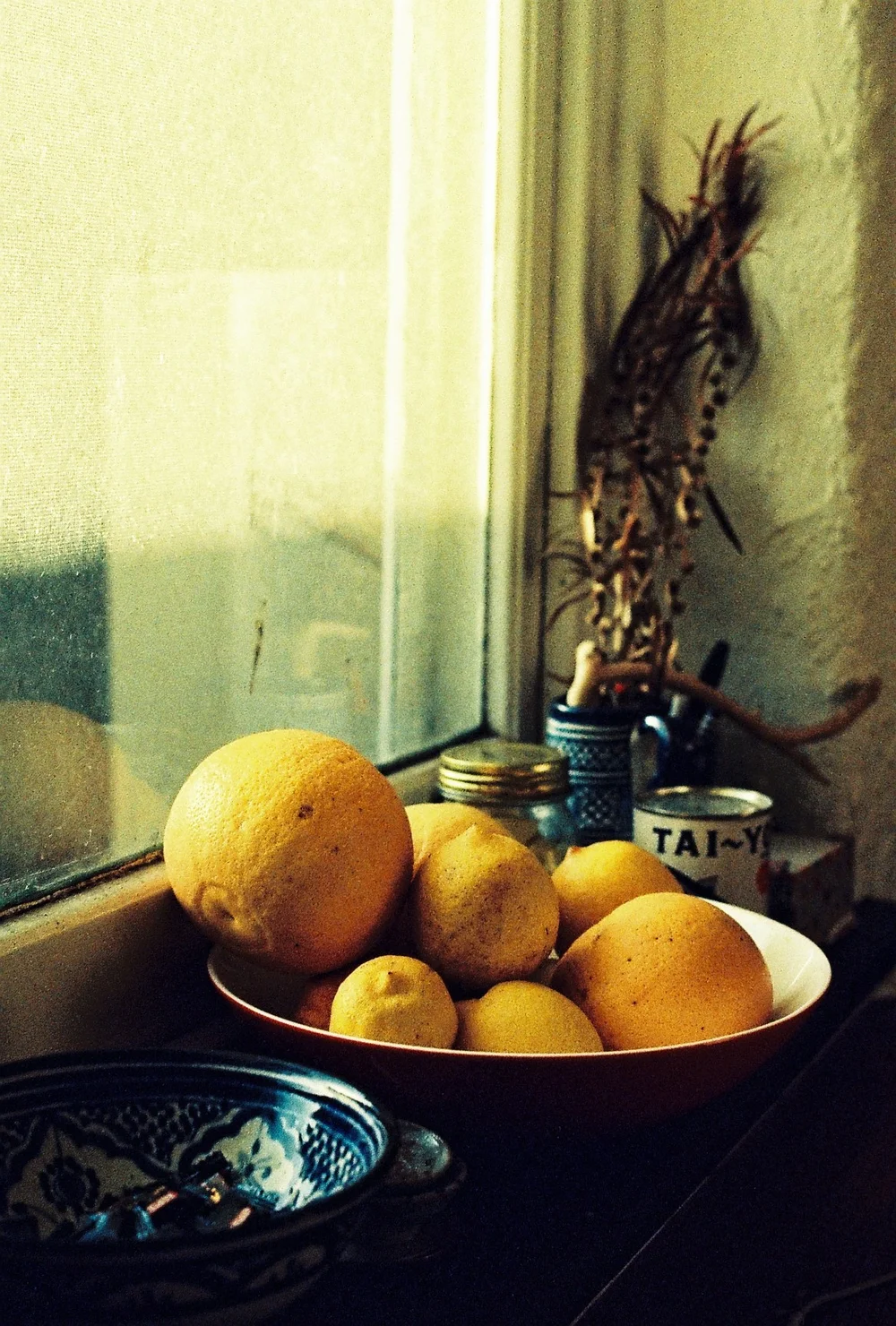 Home — LIESL PFEFFER