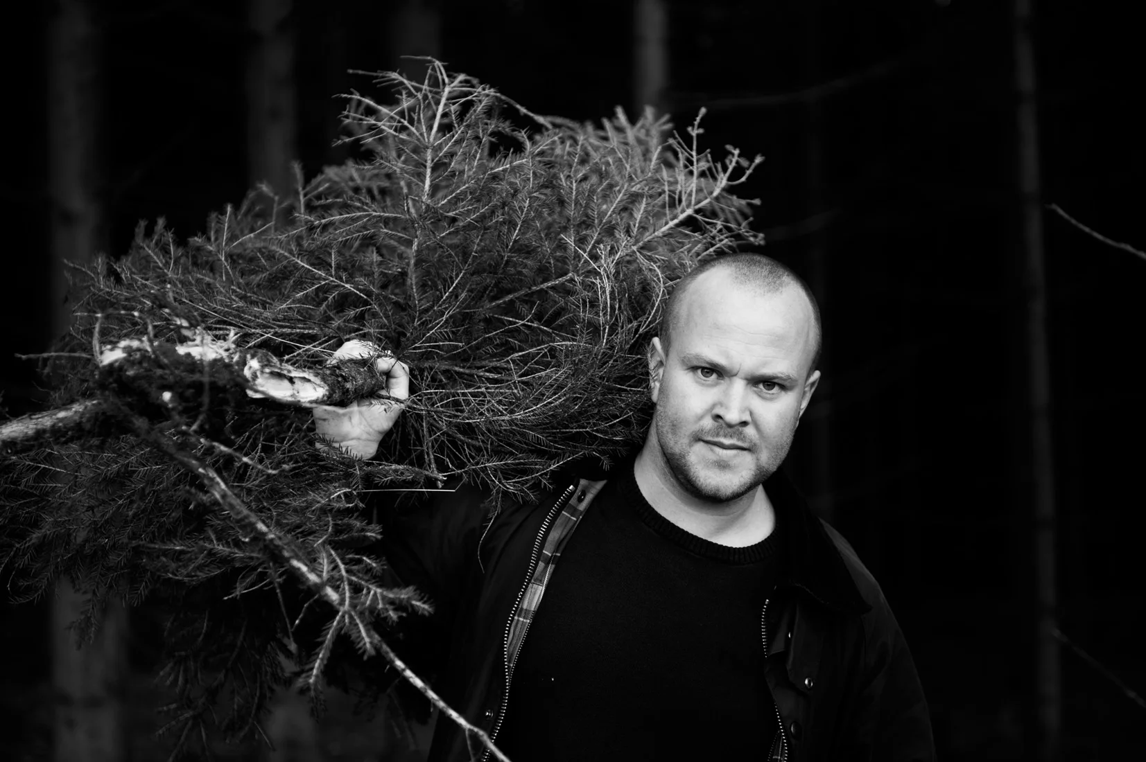 David Magnusson Photography