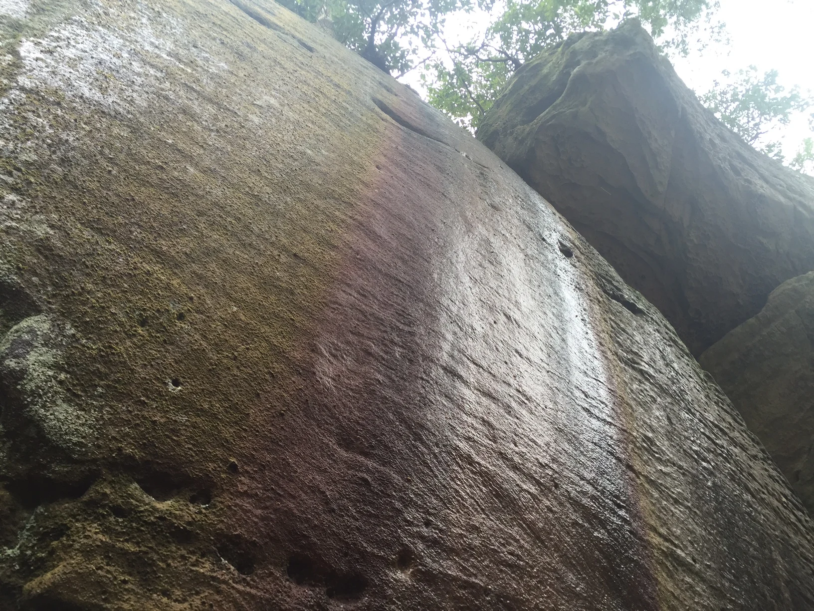 Kentucky's Ancient Forest: An adventure in Blanton Forest State Nature ...