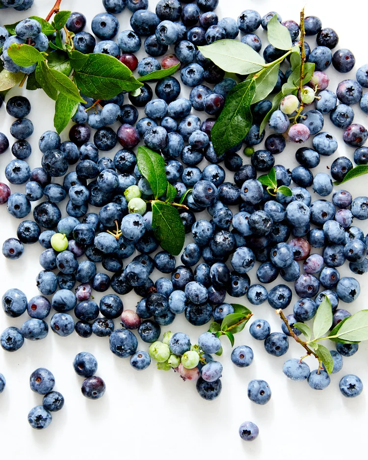 No Bake Blueberry Cheesecake — Apt. 2B Baking Co.