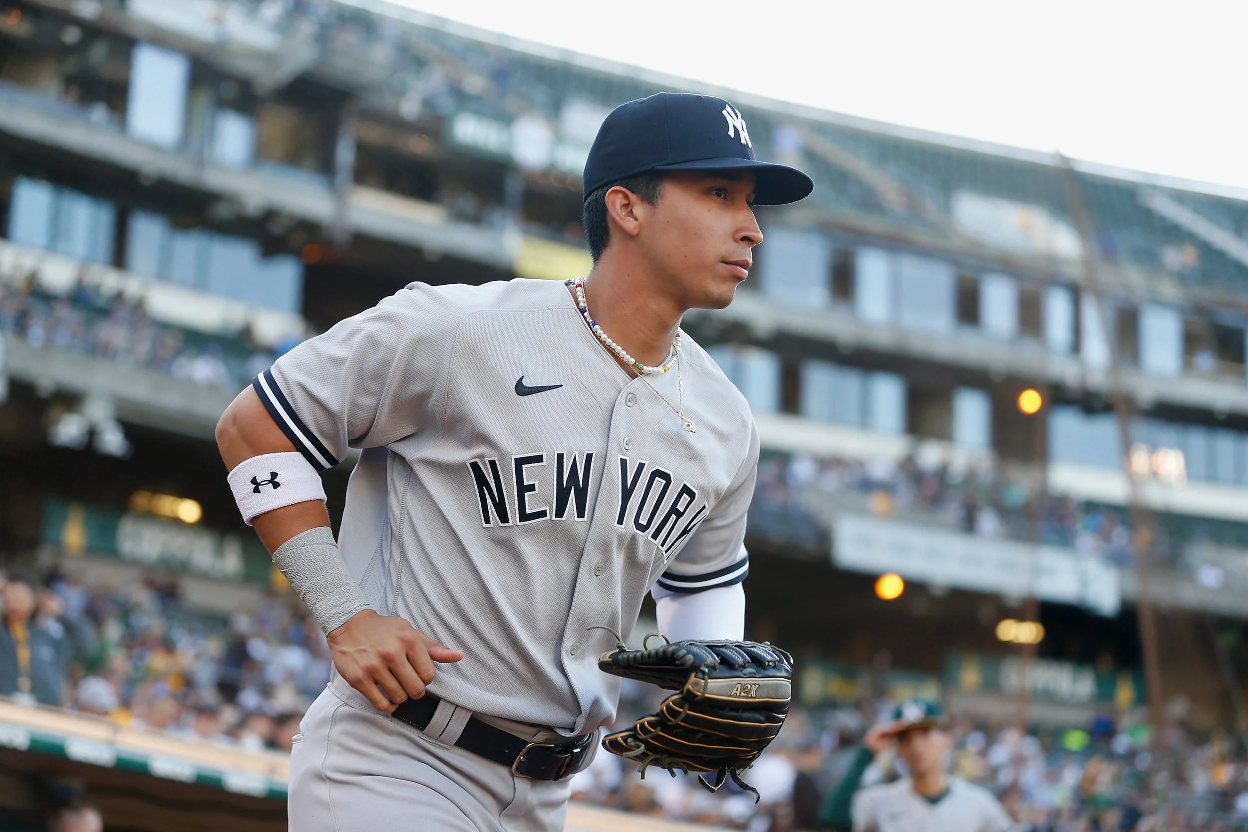 Next Upcoming Autograph Signings — Crave the Auto