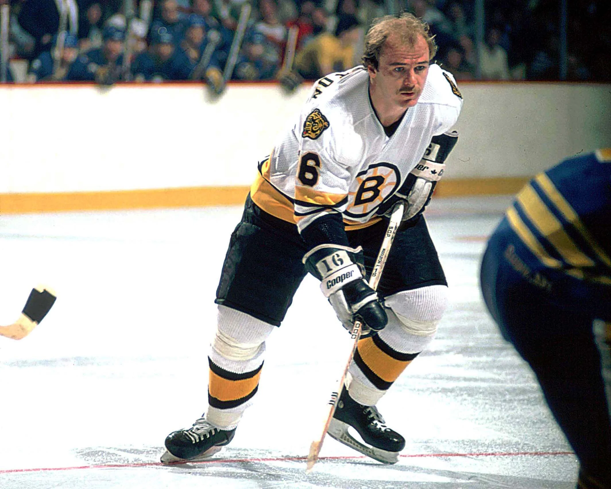 Premier Listing Upgrade — Crave the Auto