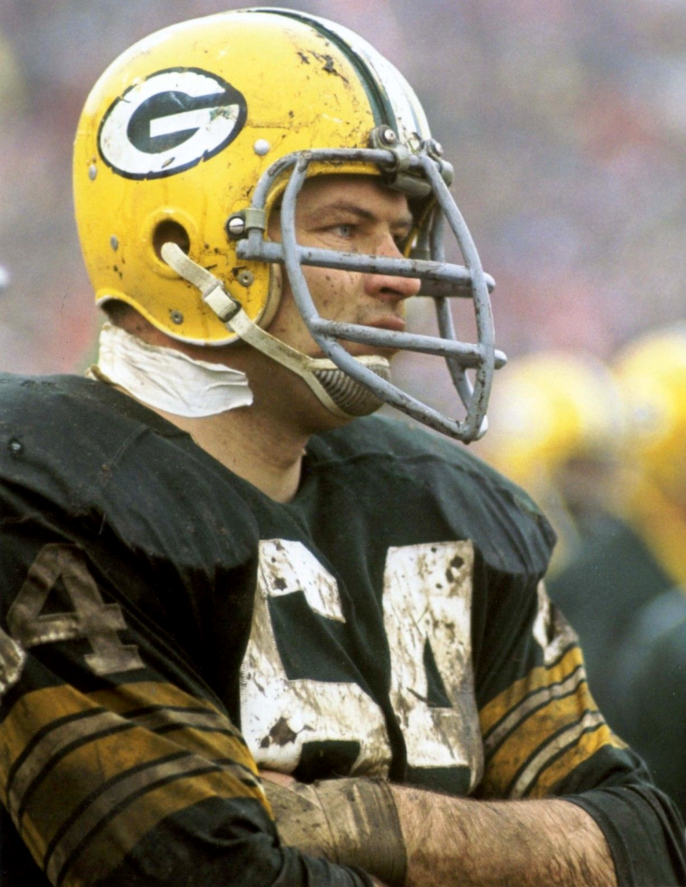 Get Connected — Crave the Auto