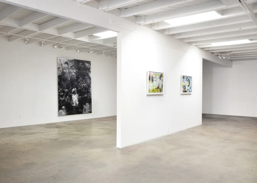 INSTALL VIEWS ANTHONY KEITH GIANNINI