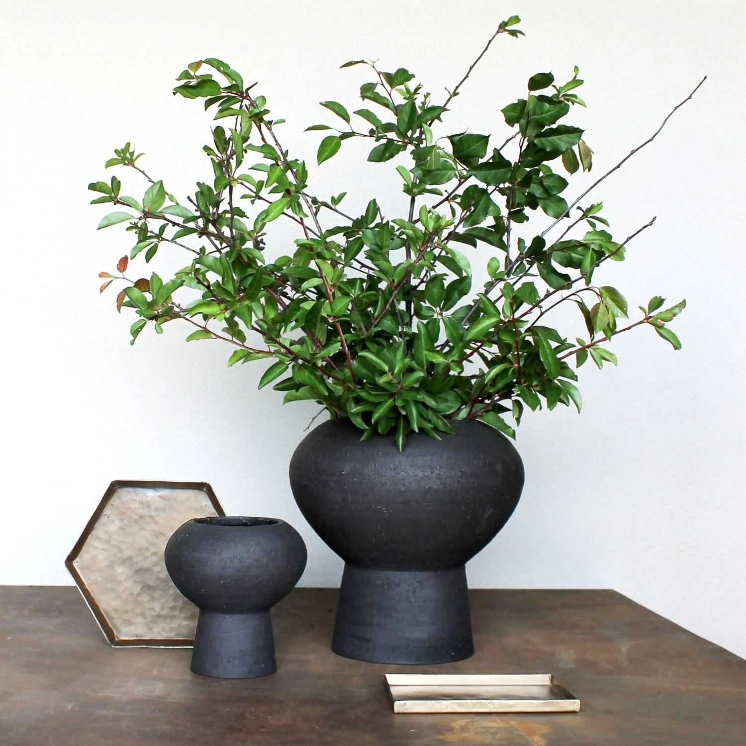 HOMART — Fine Lines