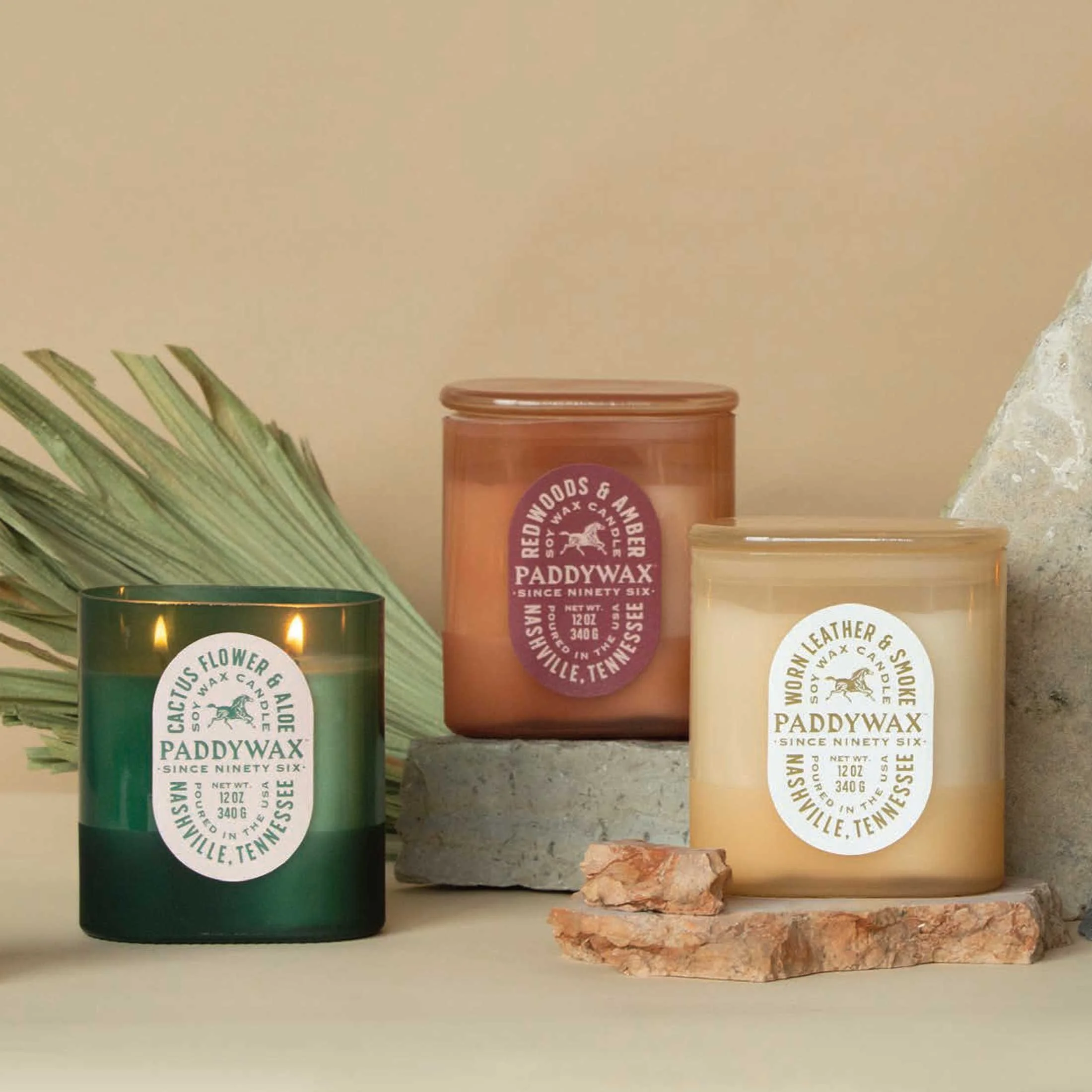 PADDYWAX — Fine Lines