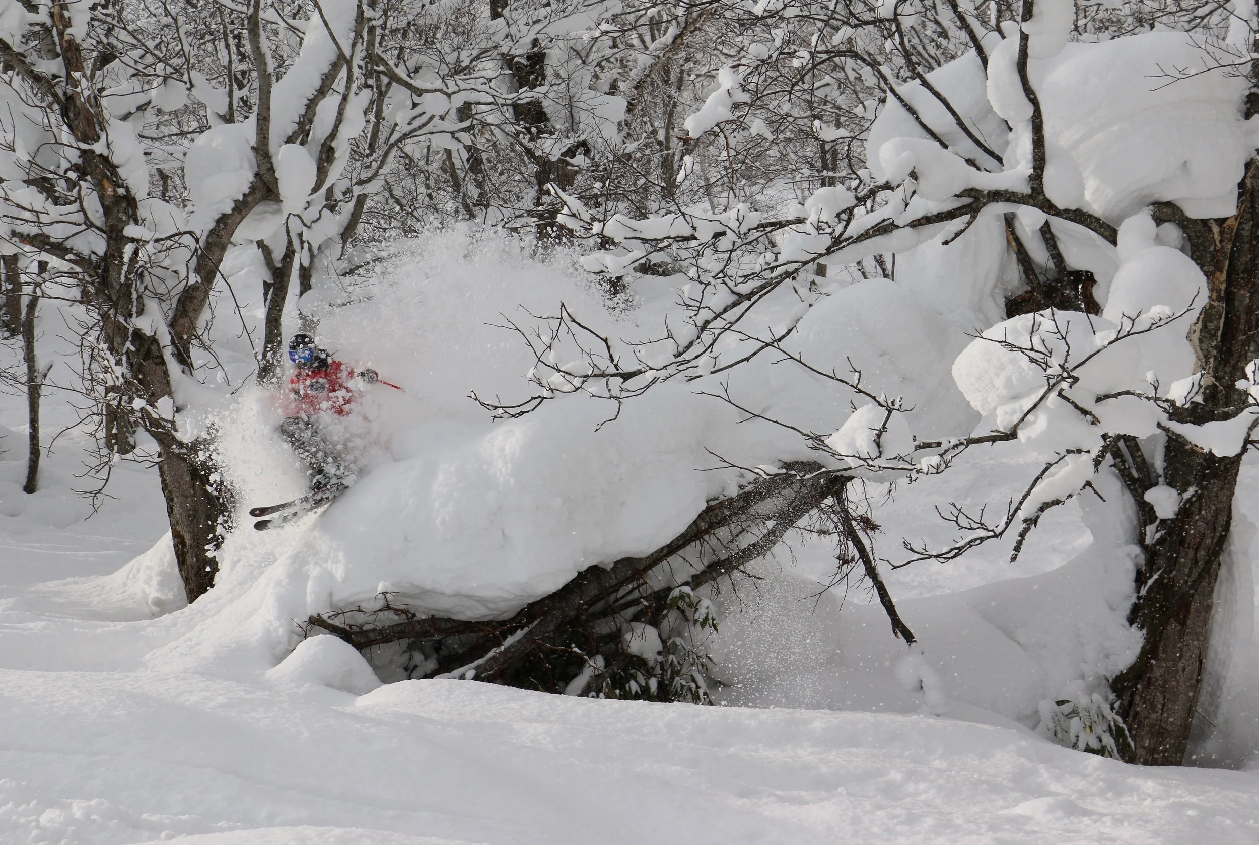 "Toastypress was conceived from the number of toasted sandwiches ...