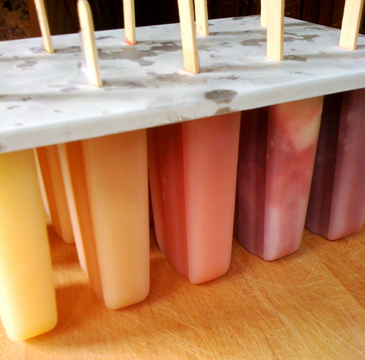 POPSICLE PALOOZA: TIPS FOR MAKING HOMEMADE POPSICLES — Martie Duncan