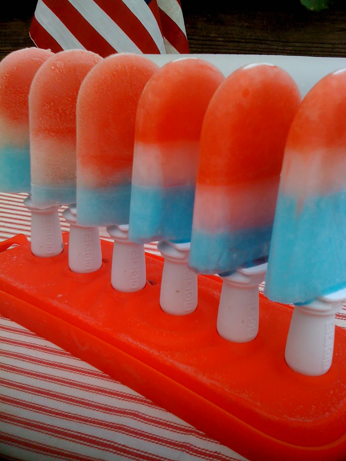POPSICLE PALOOZA: TIPS FOR MAKING HOMEMADE POPSICLES — Martie Duncan
