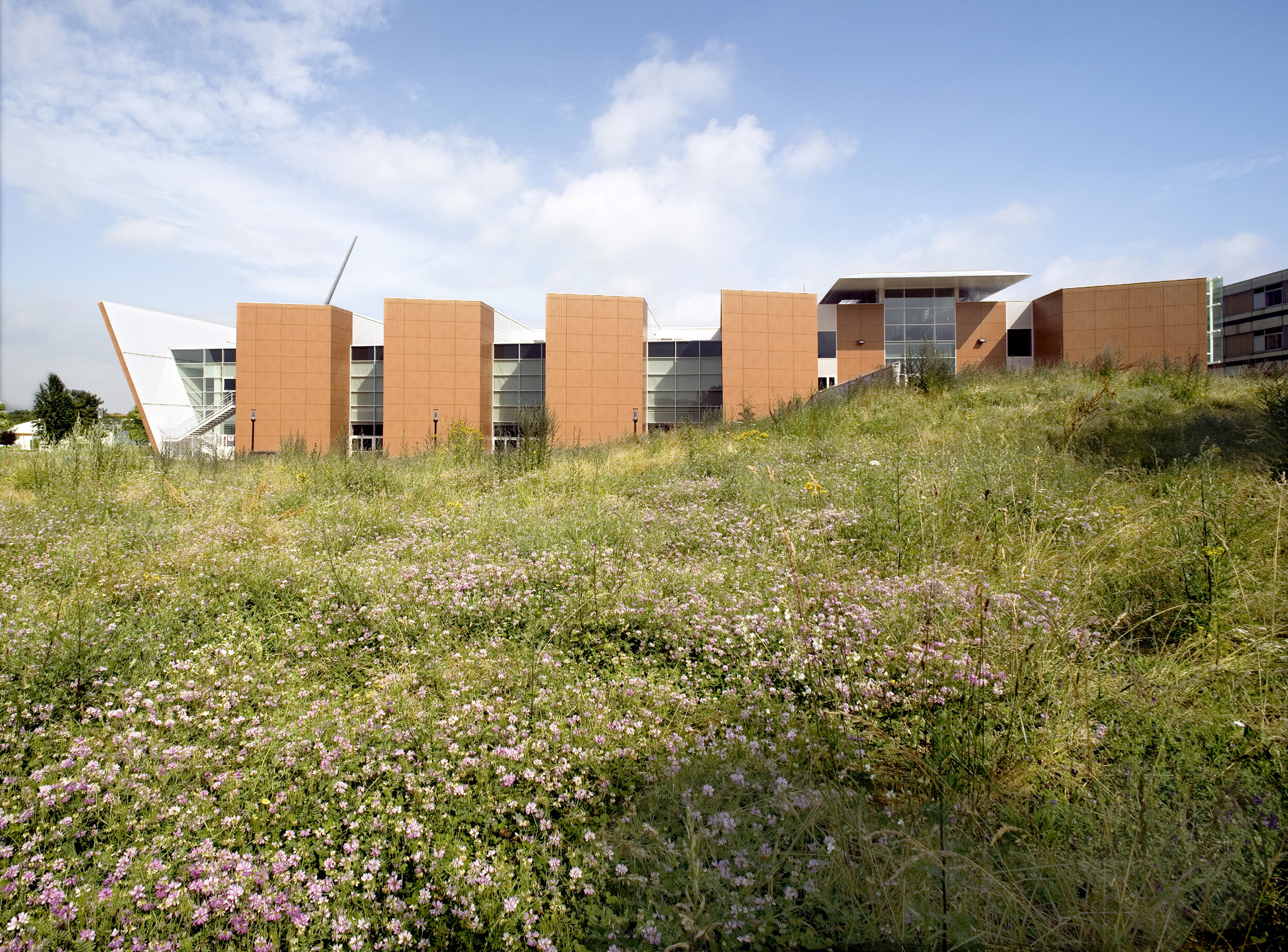 university library — OLIVIER MARCENY PHOTOGRAPHY