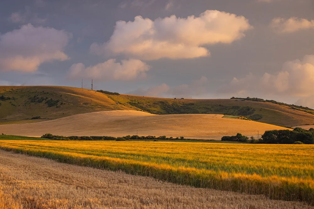 Sussex Landscape Photography Prints - The South Downs