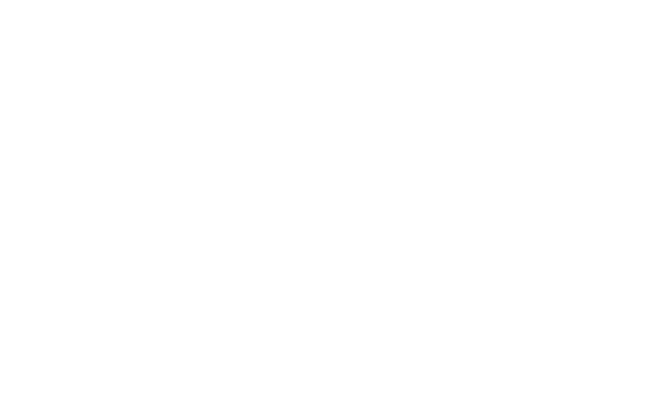 HAGL SKADE — PAINTLESS APS 28404161