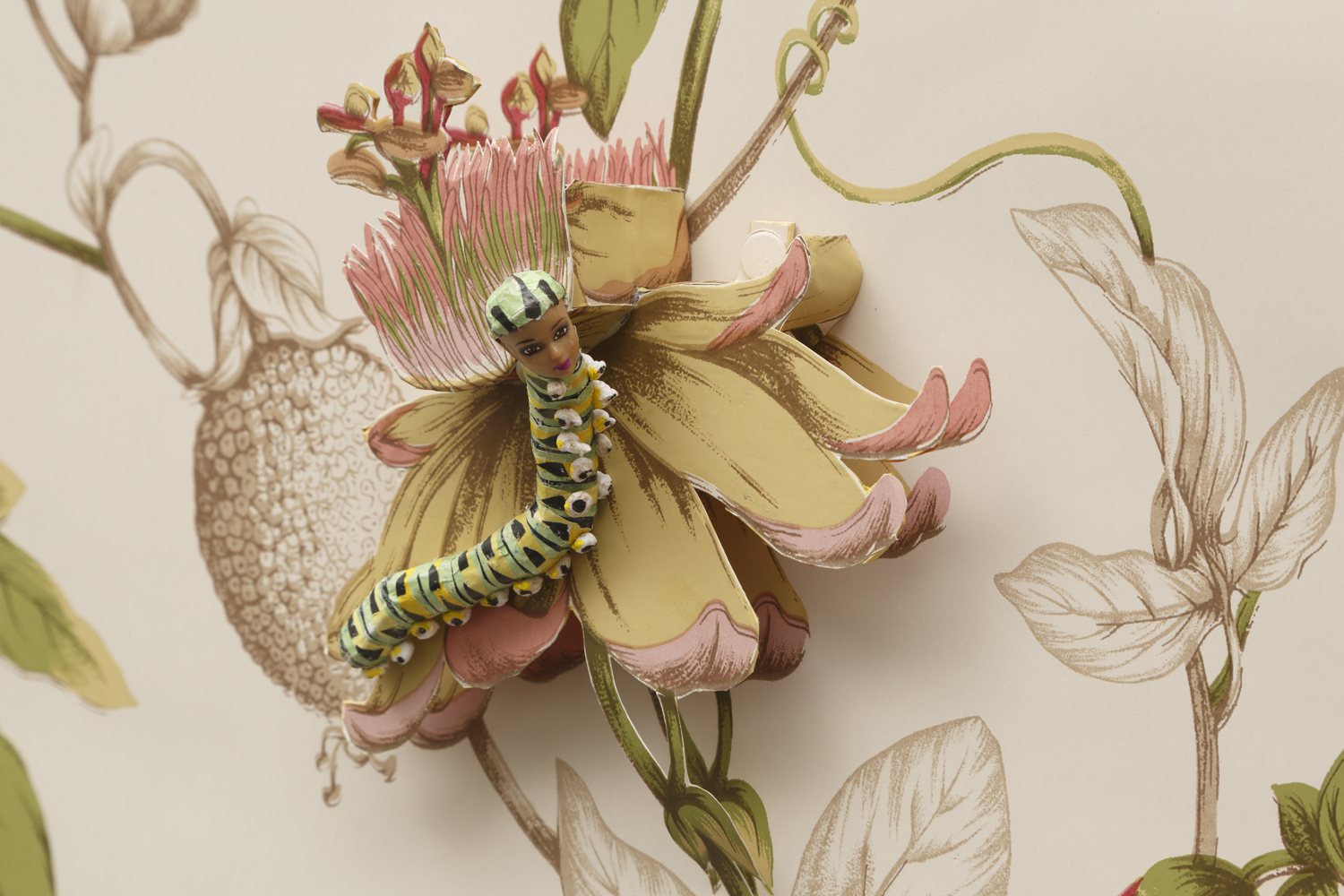 Installation — Caroline Waite